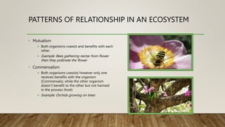 ECOLOGY_(grade_7).pptx