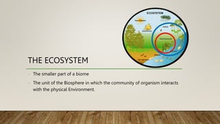 ECOLOGY_(grade_7).pptx