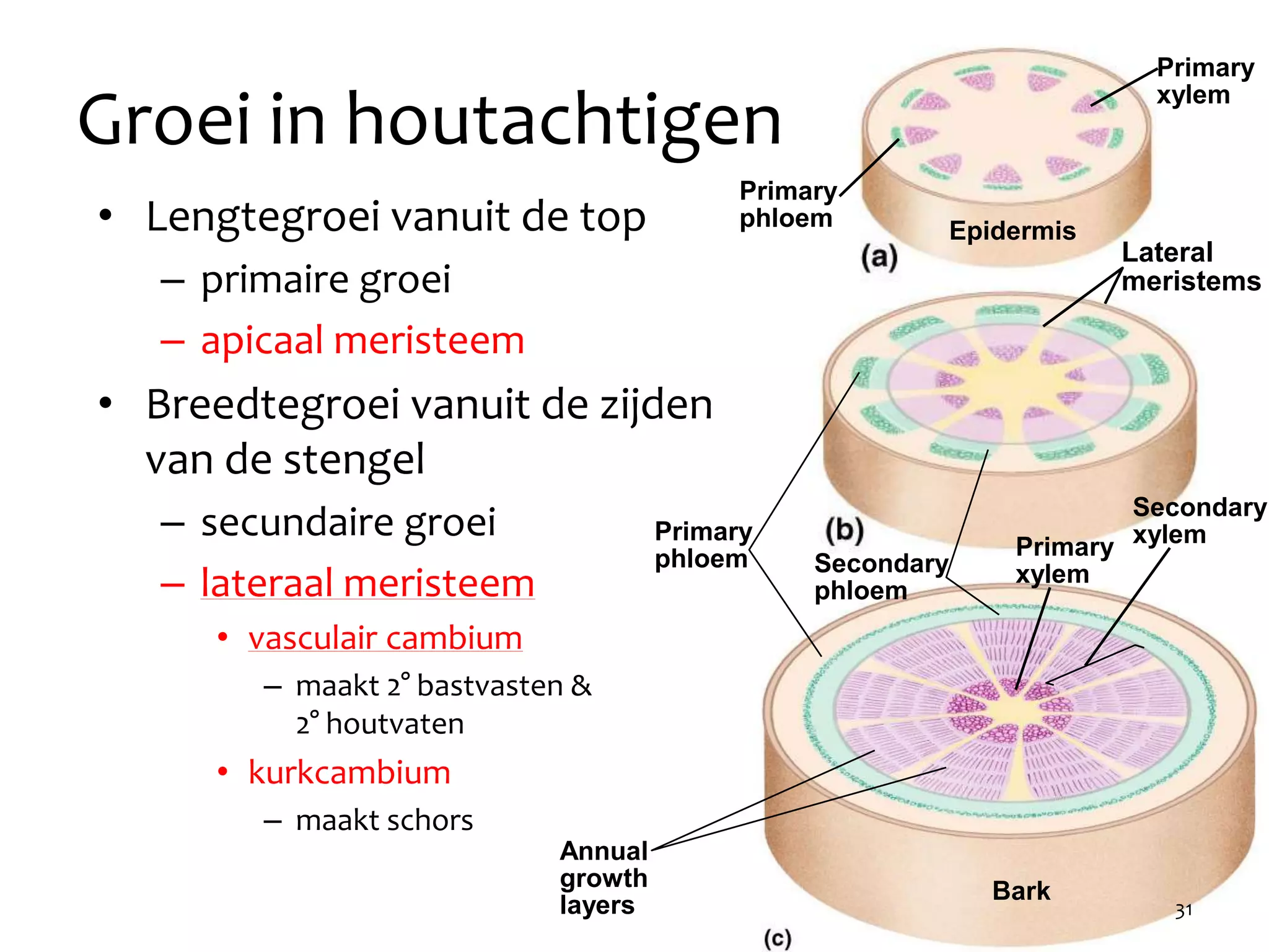 Hoofdstuk 42 - Audesirk | PPTX