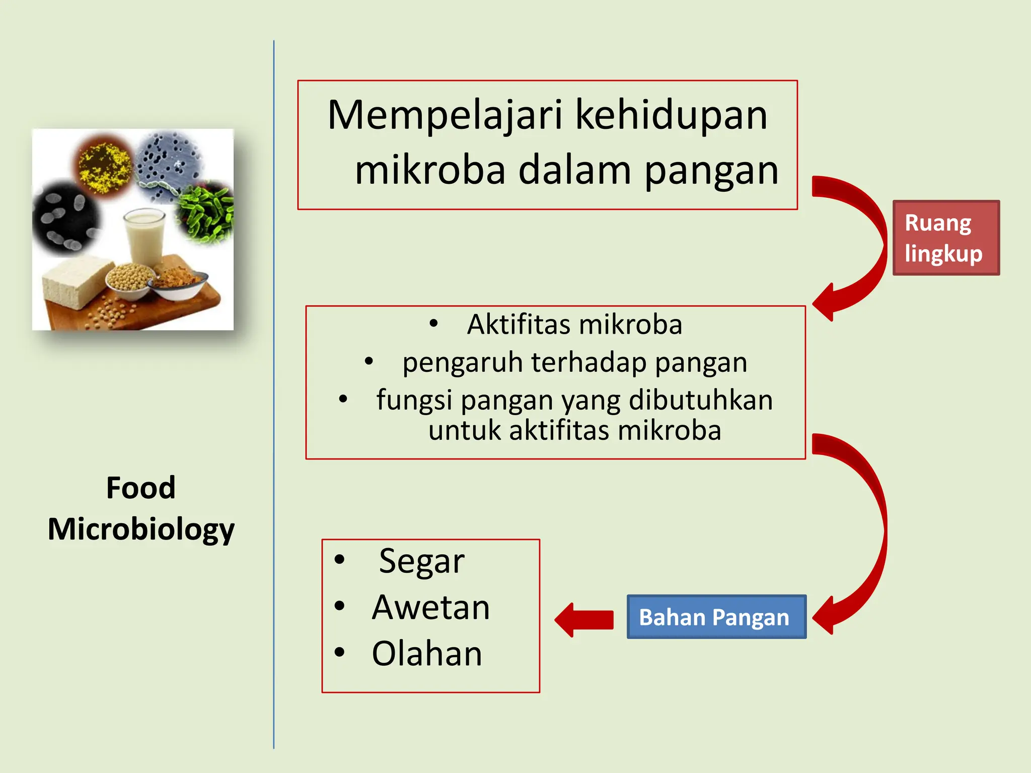 2.-Mikrobiologi-Pangan-Mikrobiologi-Pangan.pdf