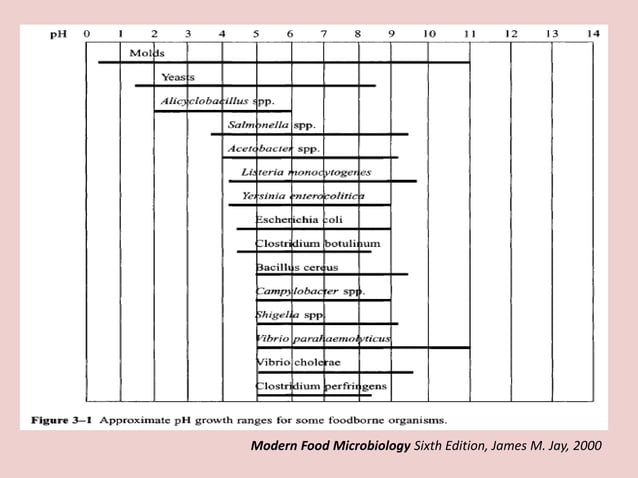 2.-Mikrobiologi-Pangan-Mikrobiologi-Pangan.pdf