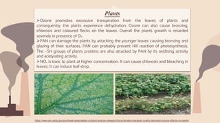 Photochemical Air Pollution | PPTX