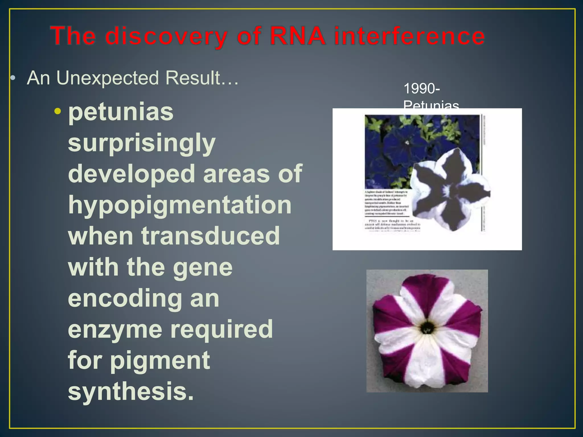 RNAi – Mechanism and Its Application In Crop Improvement | PPTX
