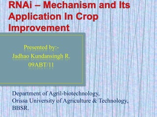 RNAi – Mechanism and Its Application In Crop Improvement | PPT