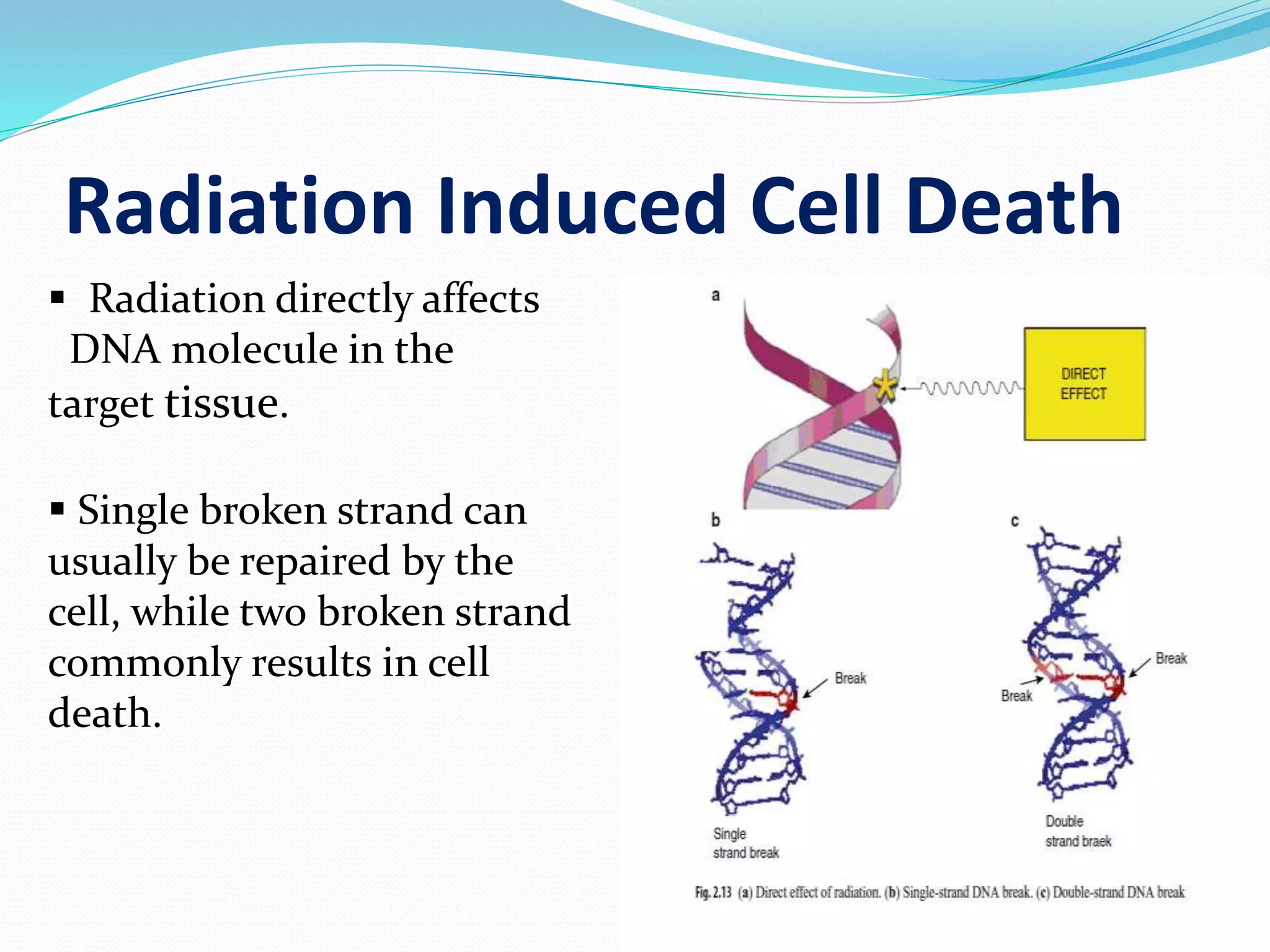 Linear quadratic model ppt | PPTX