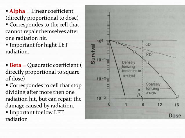 Linear quadratic model ppt | PPTX | Cancer | Diseases and Conditions