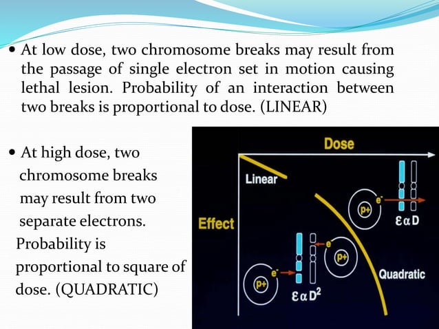 Linear Quadratic Model Ppt Pptx