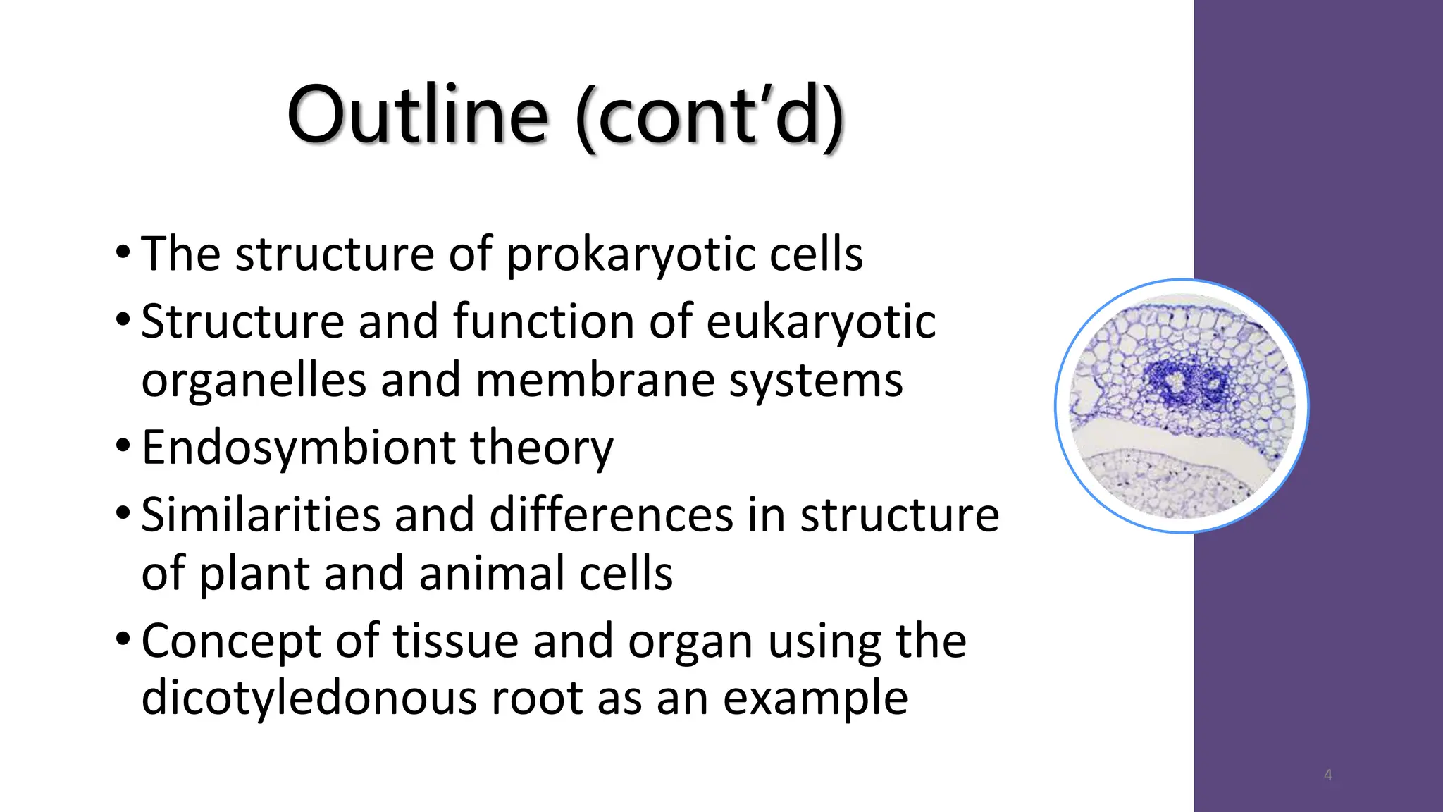 CAPE_Biology_Unit_1_-_03_Cell_Structure_and_Function_v2.pptx