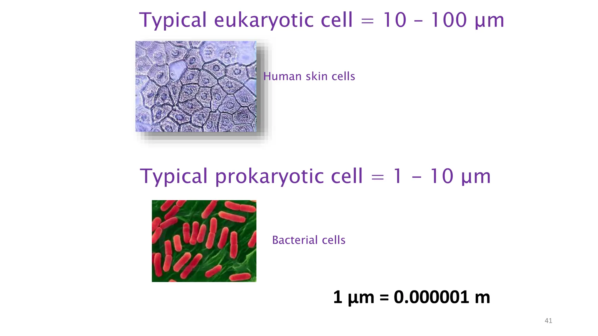 CAPE_Biology_Unit_1_-_03_Cell_Structure_and_Function_v2.pptx