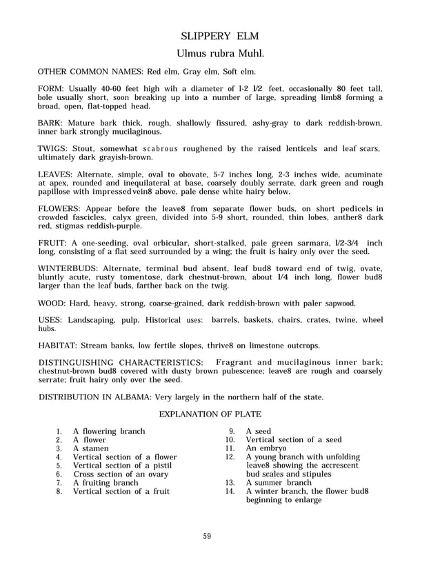 Slippery elm | PDF