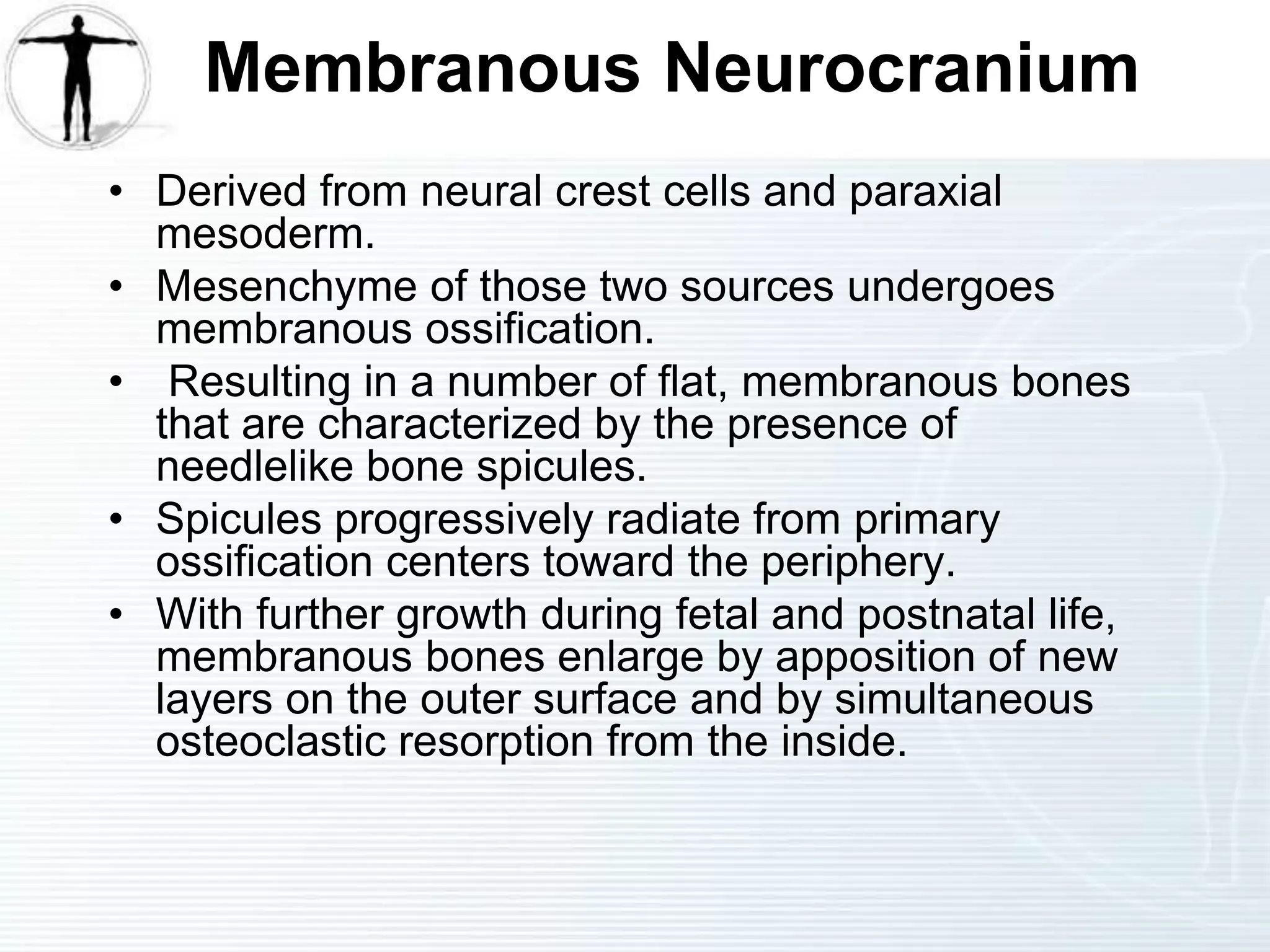 Skull Development | PPTX