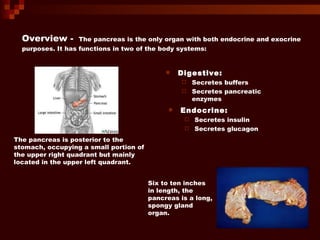 About the Pancreas | PPT
