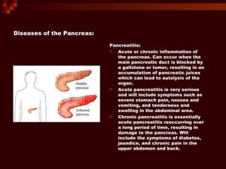 About the Pancreas | PPT