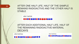 Differential Equation_Half Life | PPTX