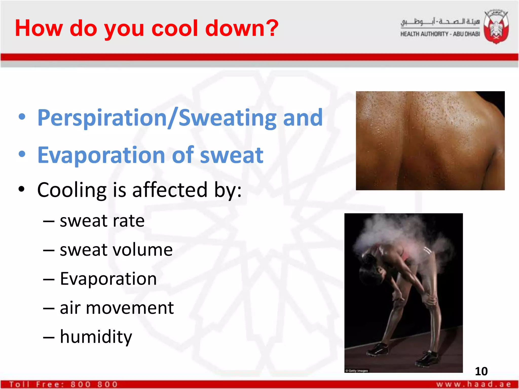 Haad safety in heat program | PPTX