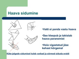 Haavad | PPT
