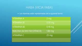 Haba vicia-faba | PPTX