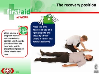 HABC Basic First Aid Training.ppt