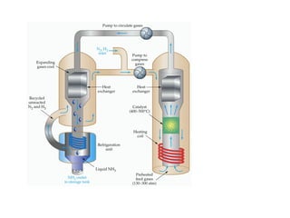 haber process ammonia production flow chart for study | PPT