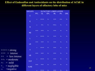 endosulfan induced neurotoxicity | PPT | Brain and Nervous System ...