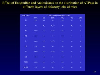 endosulfan induced neurotoxicity | PPT | Brain and Nervous System ...