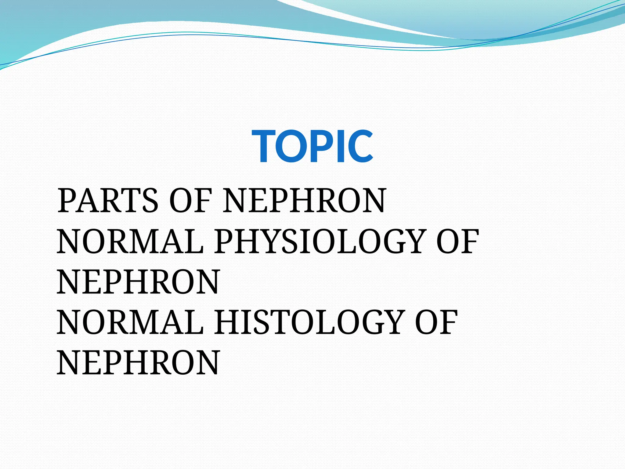 Nephron parts of nephron normal histology of nephron | PPTX