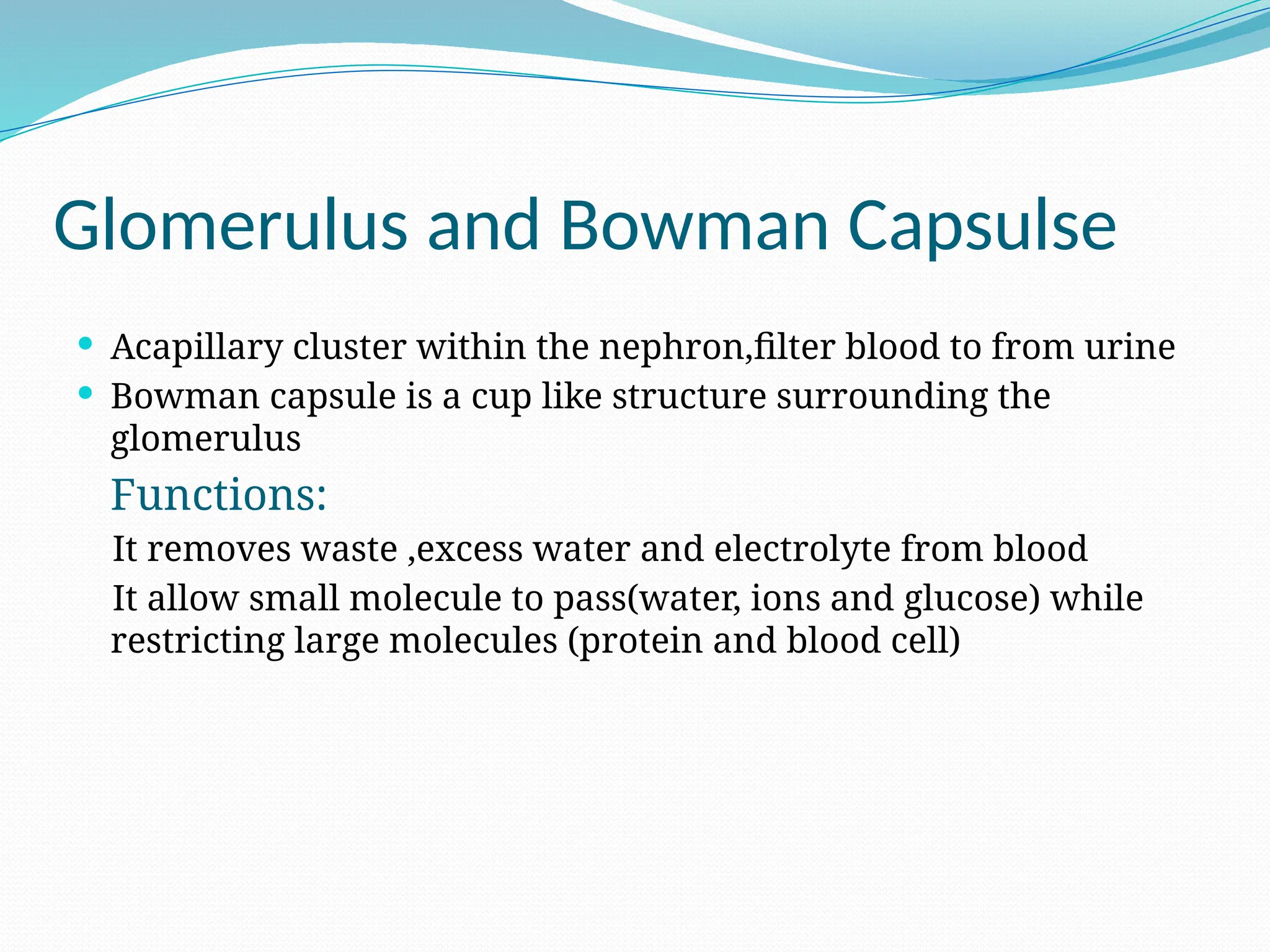 Nephron parts of nephron normal histology of nephron | PPTX