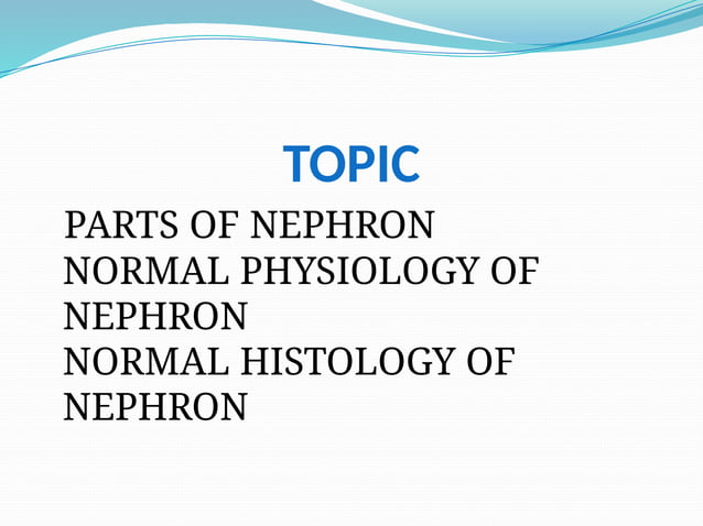 Nephron parts of nephron normal histology of nephron | PPTX | Chemistry ...