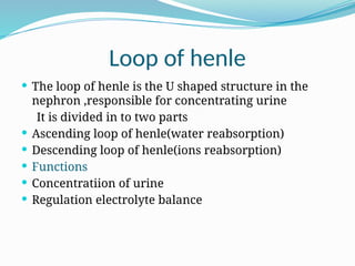 Nephron parts of nephron normal histology of nephron | PPTX