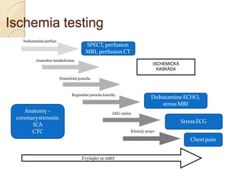 Radiation Diagnosis of Disease of Heart and Blood Vessels | PPT