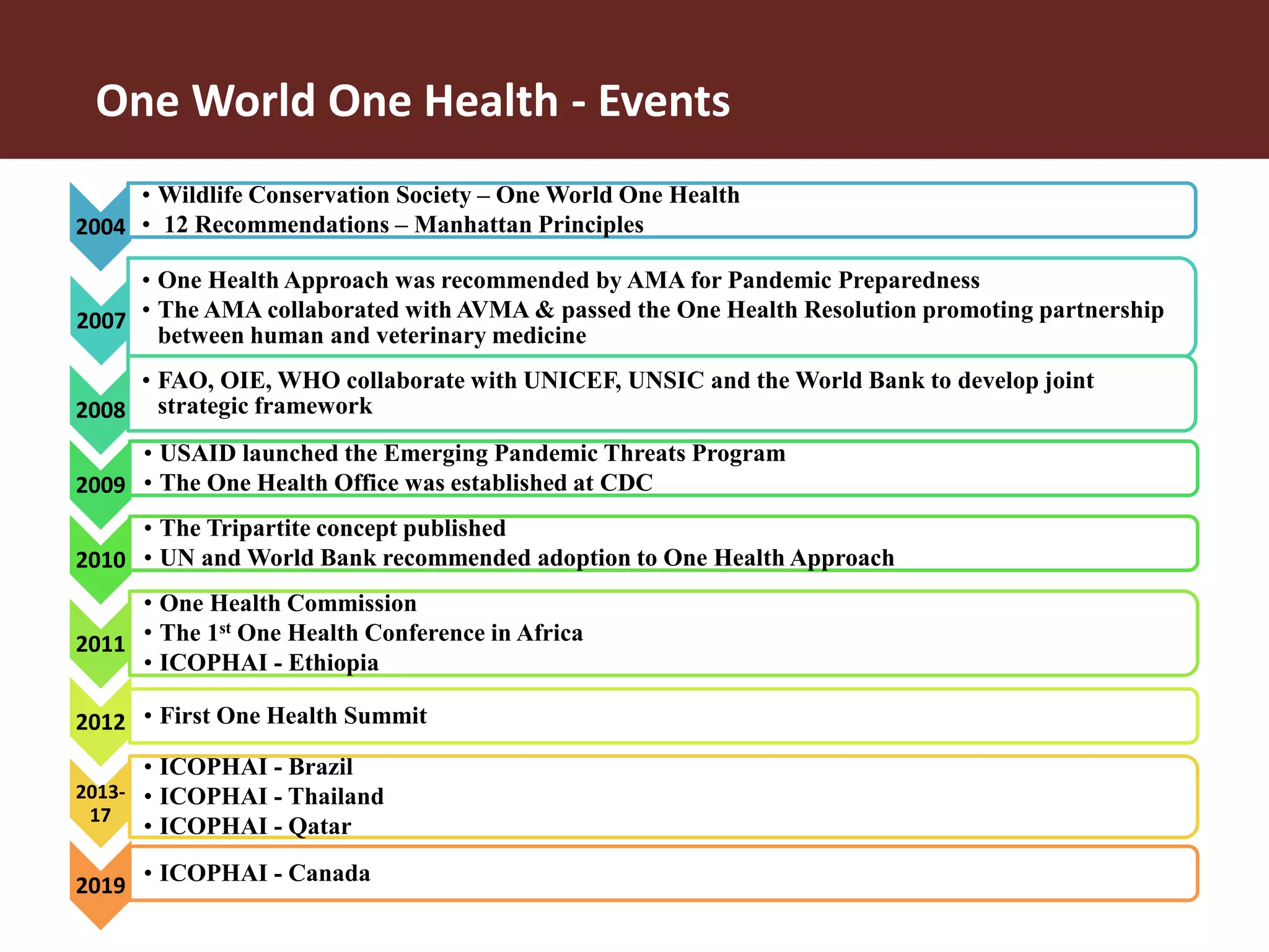 One World One Health Approach | PPTX