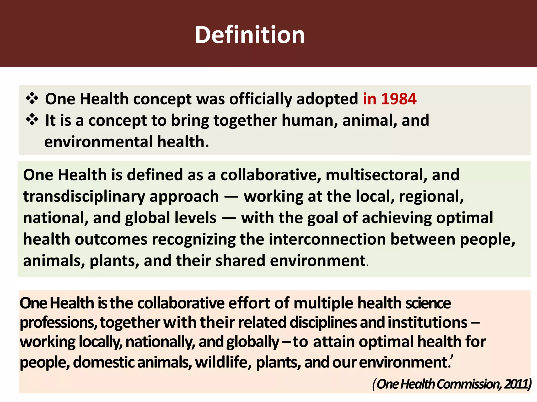 One World One Health Approach | PPTX