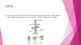 Habilidades motrices básicas | PPTX