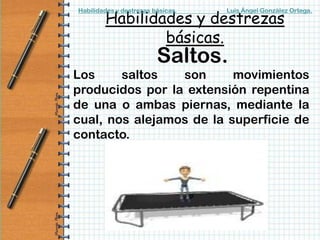Habilidades y destrezas | PPSX