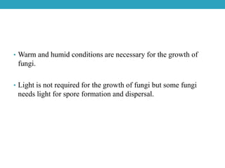Habit and Habitat of fungi | PPTX