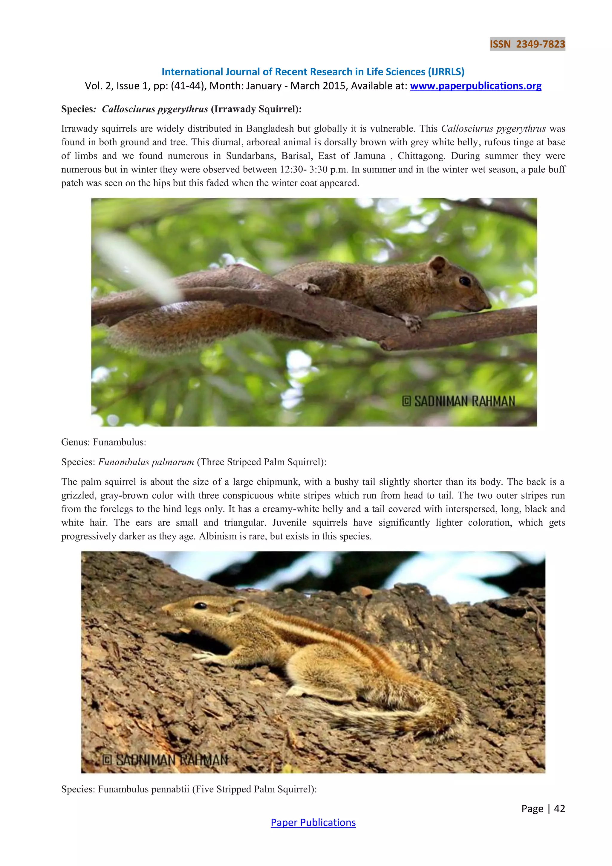 Habit and Habitat of Squirrels in Bangladesh | PDF
