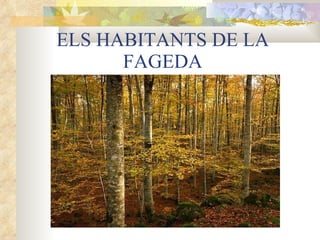 Habitants De La Fageda Nens | PPT