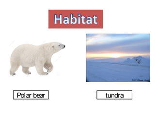 Habitat | PPT