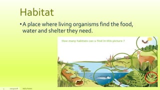 Habitat | PPTX