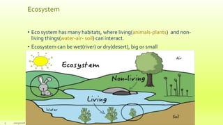 Habitat | PPT