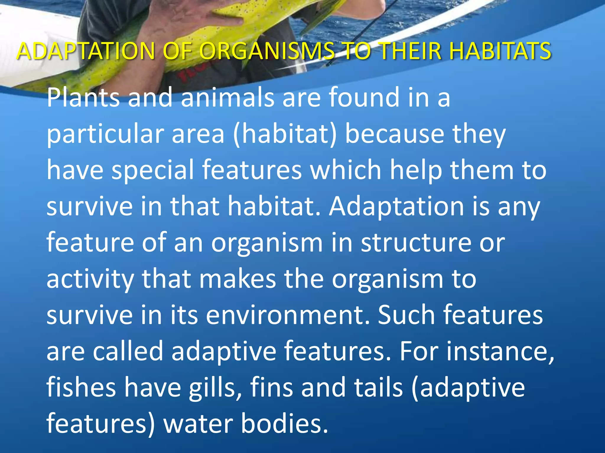 HABITAT.pptx