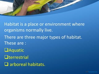 HABITAT.pptx