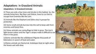 Biodiversity and Habitat-and-Adaptation grade 6.pptx