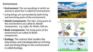 Biodiversity and Habitat-and-Adaptation grade 6.pptx