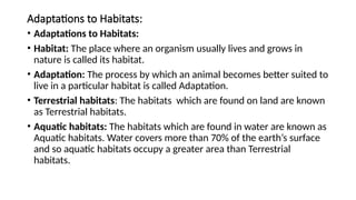 Biodiversity and Habitat-and-Adaptation grade 6.pptx