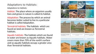 Biodiversity and Habitat-and-Adaptation grade 6.pptx