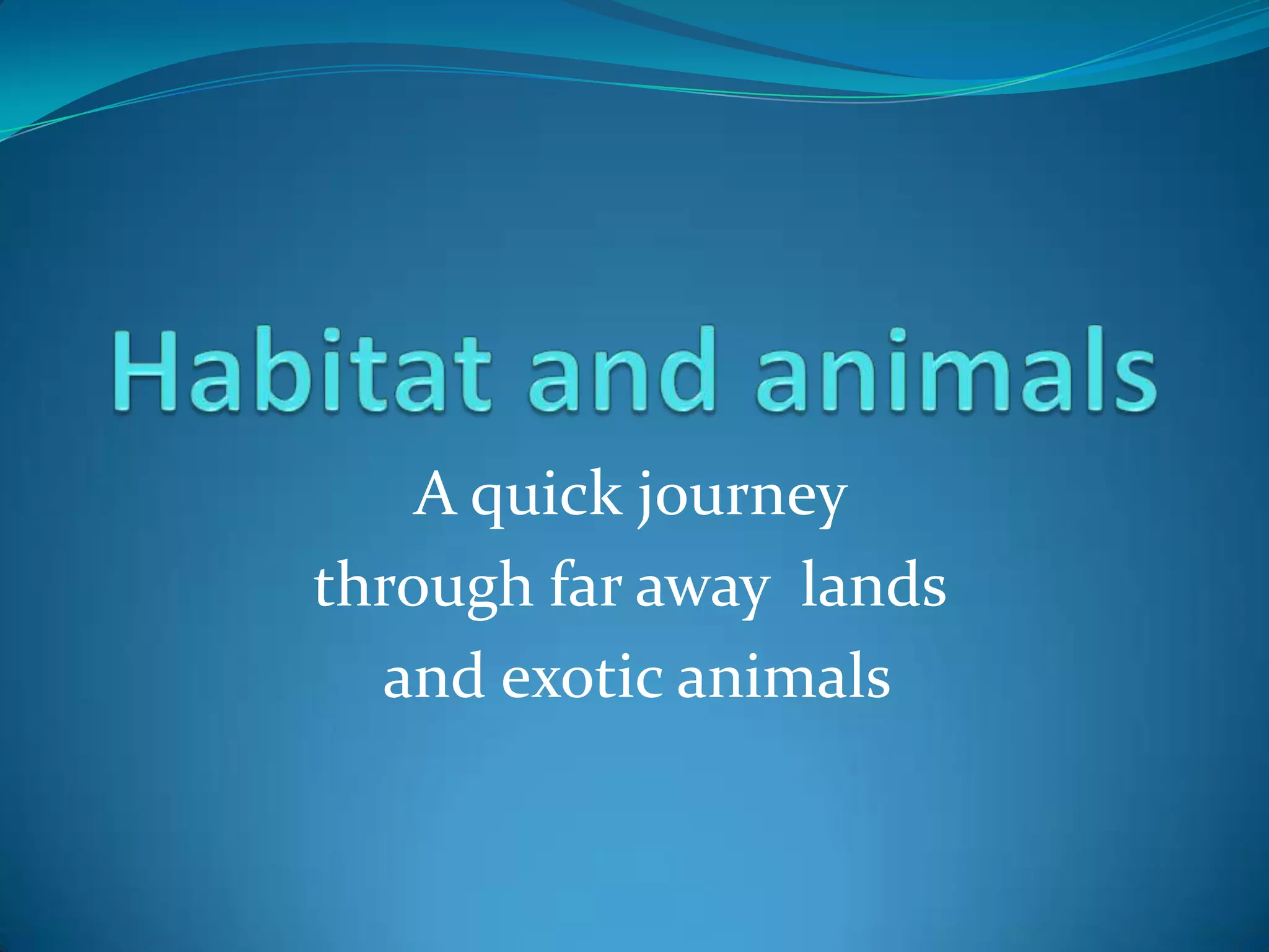 Habitat And Animals | PPTX