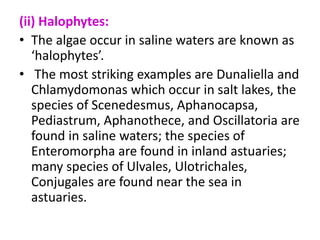 Habitat and habit of algae | PPTX