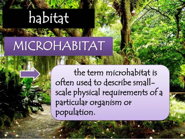 Habitat and niche report