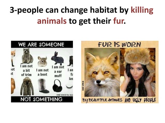 Habitat changes by animals | PPTX | Reptiles | Pets
